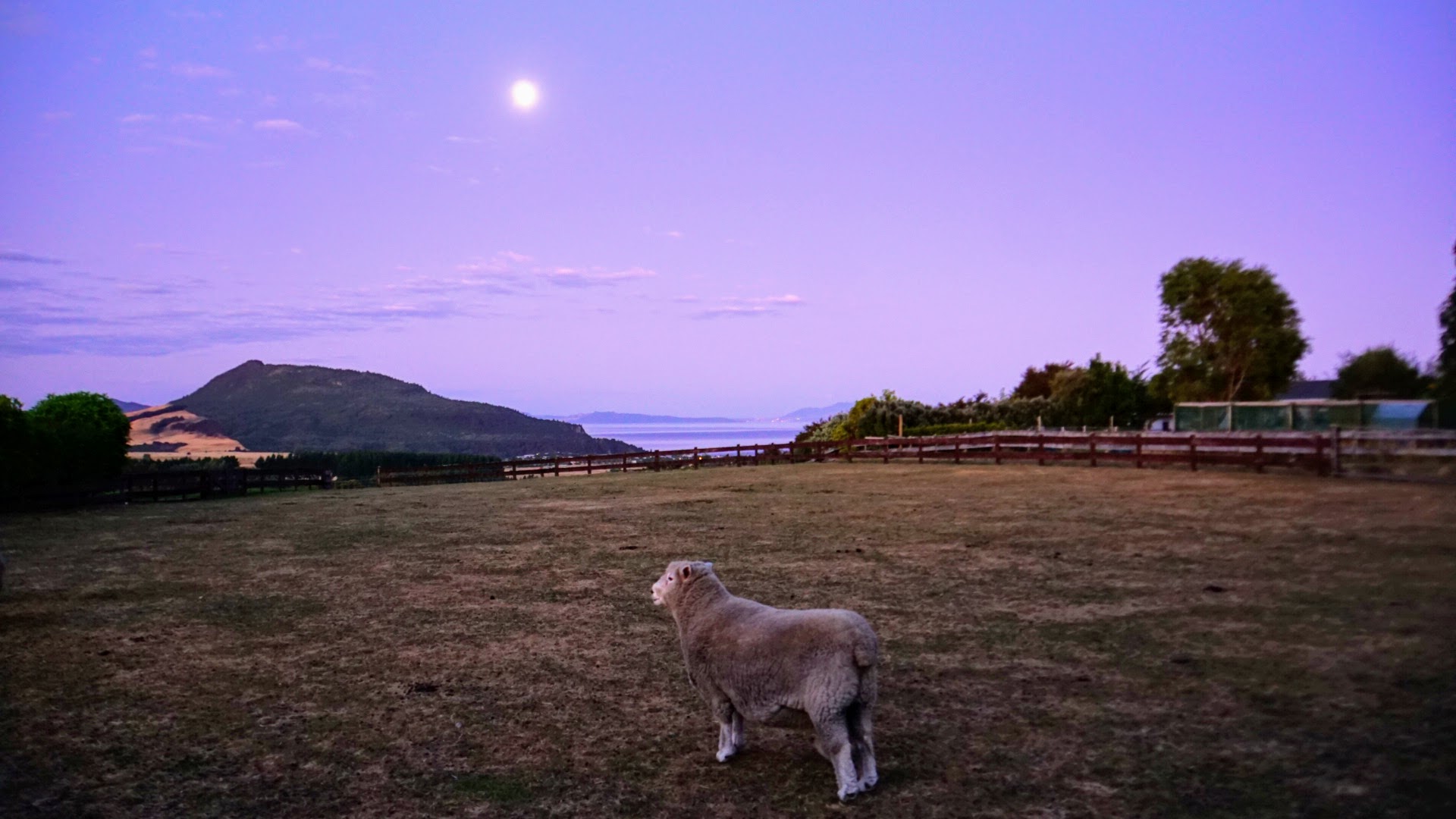 Abenteuer Neuseeland – Travel dot